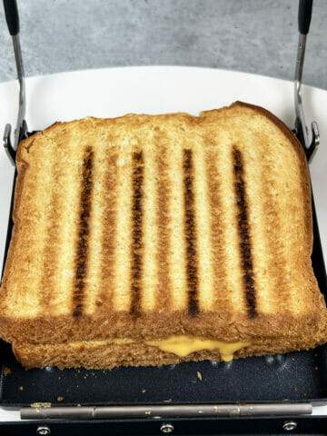 Revolution 180 Toaster Review (with video) - RecipeTeacher